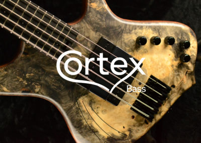 Prelude - Introduction to the Cortex Bass Brand Universe